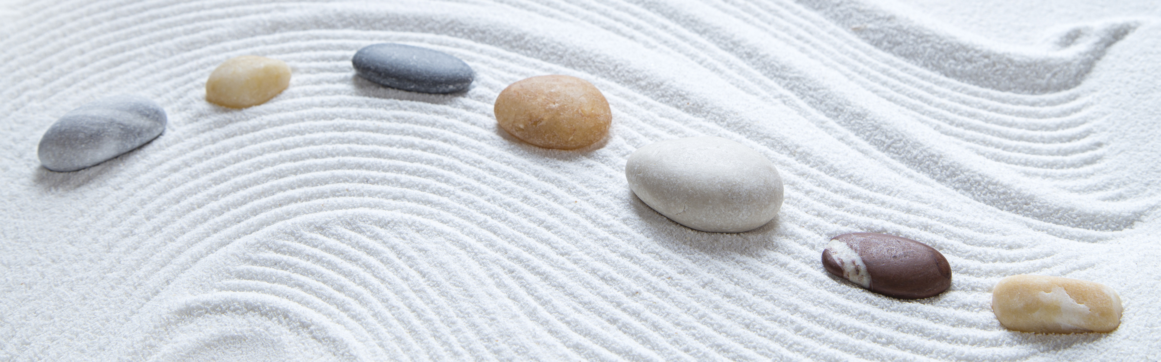 Anamnese – Naturheilpraxis in Roth